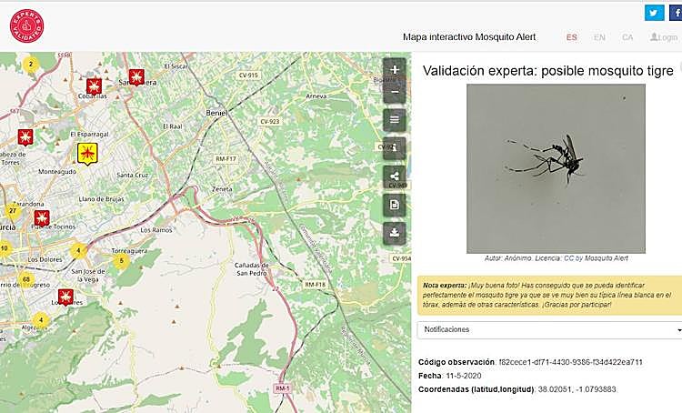 El mapa interactivo que indica qué mosquitos hay en tu zona | La Verdad